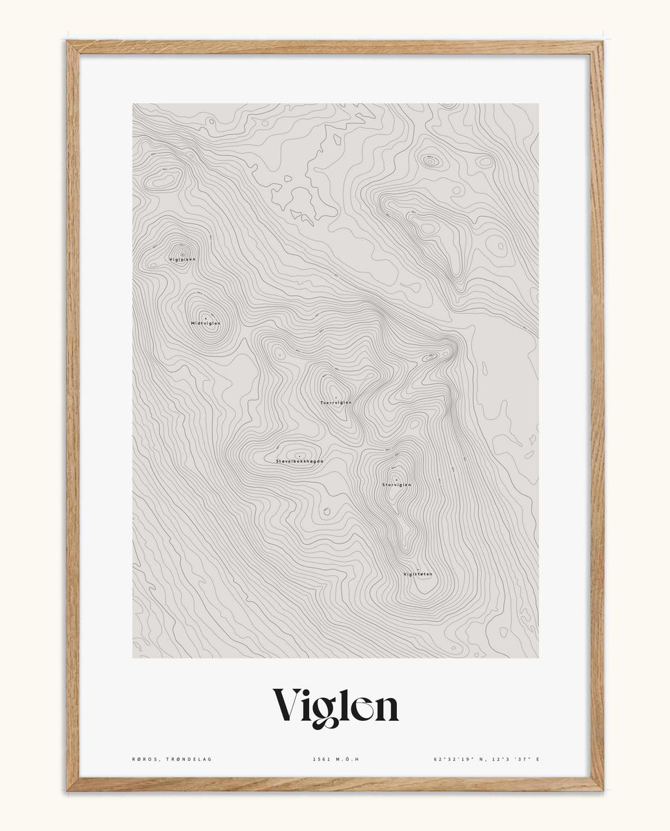 Unik fjällposter ♥ Viglen poster – Altitud – Fjelltopp
